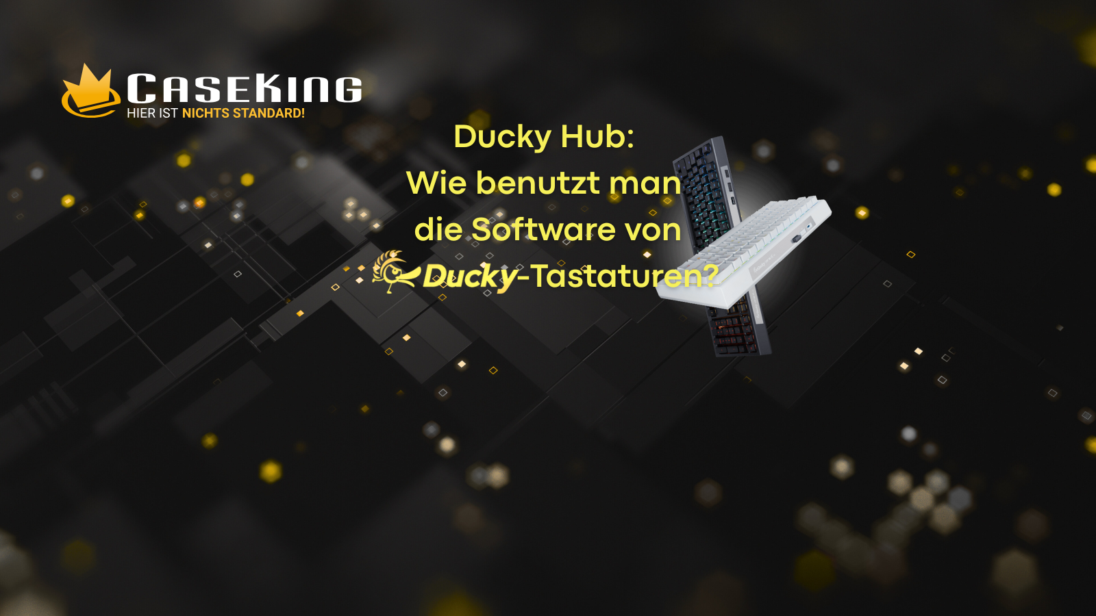 Ducky Hub: Wie benutzt man die Software von Ducky-Tastaturen?