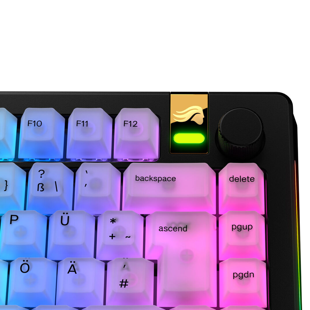 Glorious Polychroma V2 Keycaps, ANSI Layout (DE), Polycarbonat, UV ...