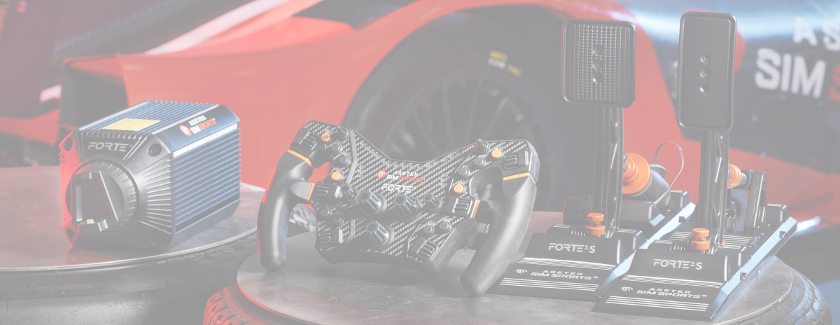 Asetek SimSports | günstig online kaufen bei Caseking